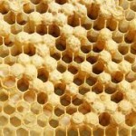 Waben. Bienenwaben, Wabe